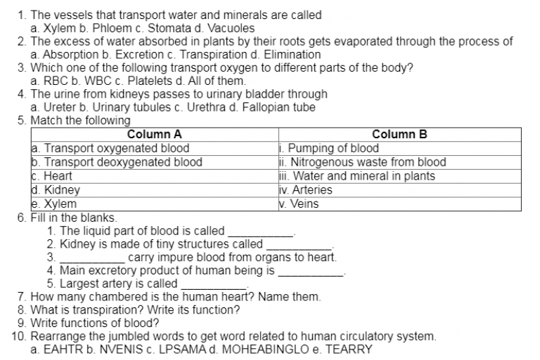 Science CBSE worksheet 7th Std. in English Medium with answers
