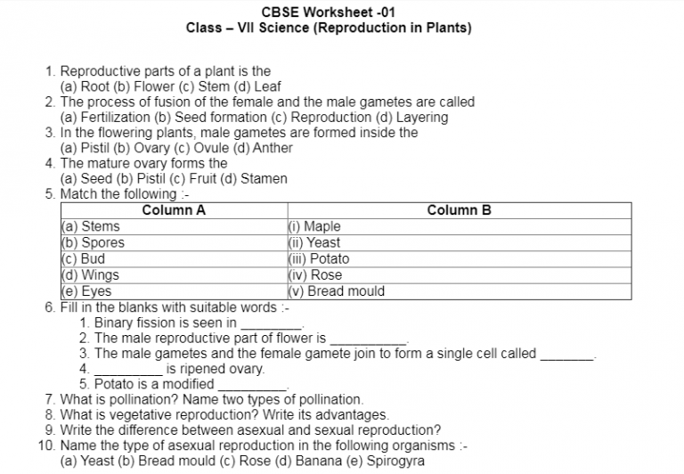 Science Cbse Worksheet 7th Std In English Medium With Answers