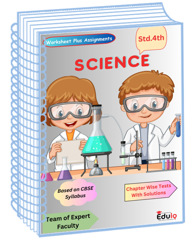 Worksheets Grade 4th For Science NCERT Based